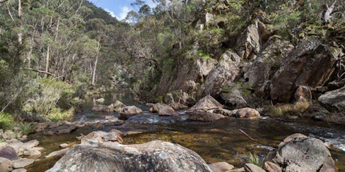 VAS Paint Out at Lerderderg Gorge near Bacchus Marsh